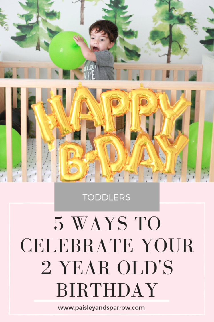 Two Year Old Birthday Ideas & Party Themes (& Tips!) - Paisley & Sparrow