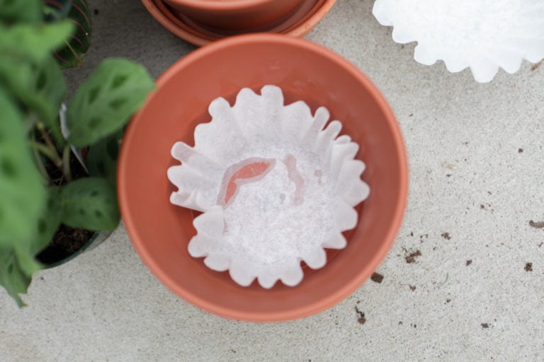 3 Things You Must Do When Using Terracotta Pots - Paisley & Sparrow