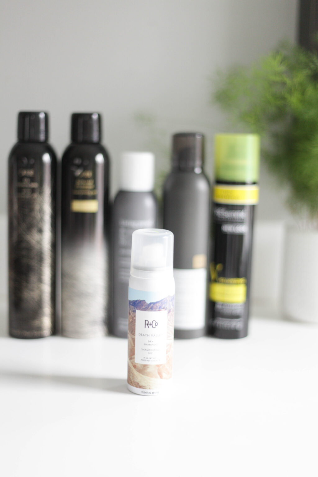 How to Use Dry Shampoo (9 Expert Tips) - Paisley & Sparrow