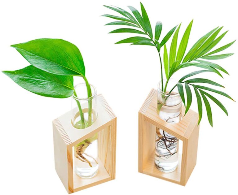 11 Plant Propagation Stations for All Budgets - Paisley & Sparrow