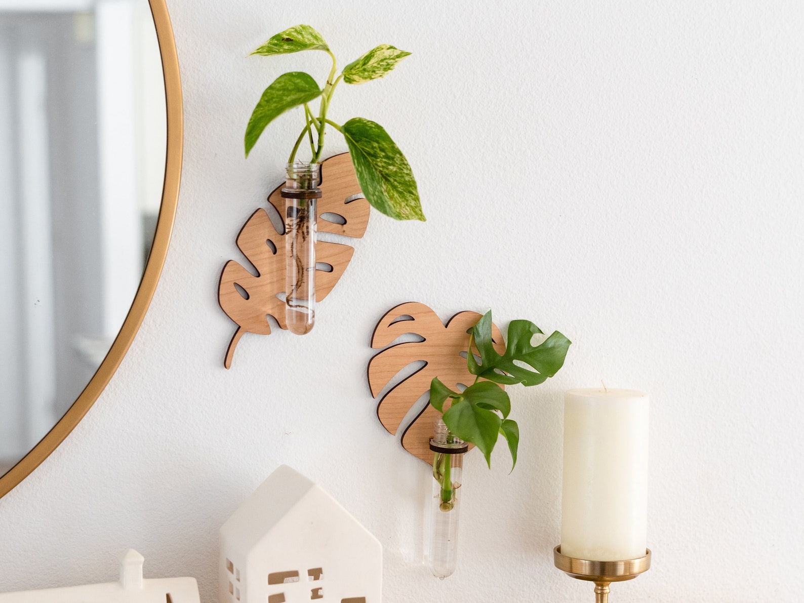 11 Plant Propagation Stations for All Budgets - Paisley & Sparrow