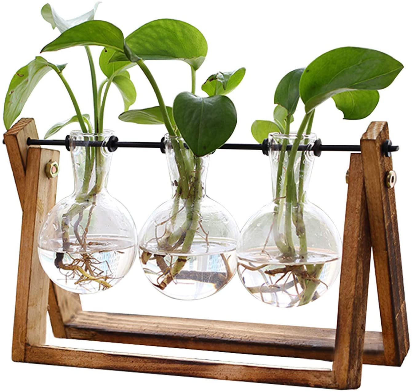 11 Plant Propagation Stations for All Budgets - Paisley & Sparrow