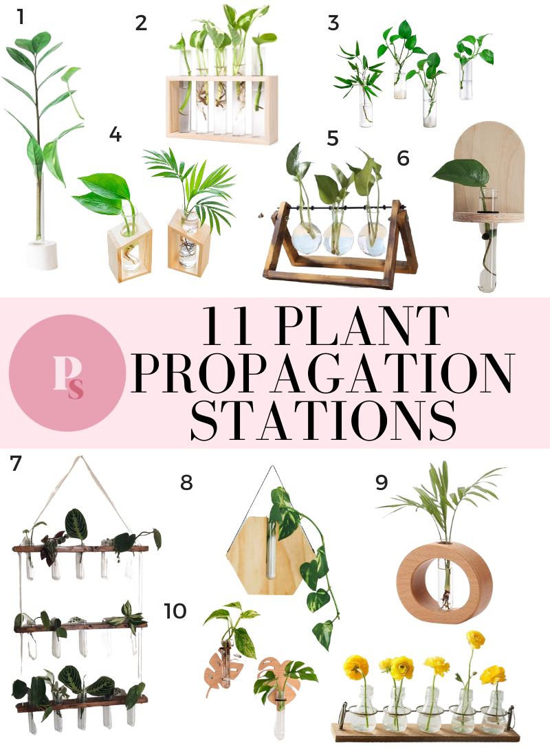 11 Plant Propagation Stations for All Budgets - Paisley & Sparrow