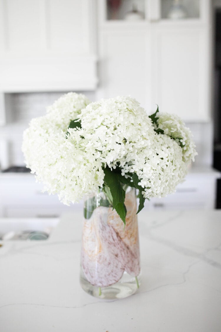 Tips for Enjoying Cut Hydrangea & How to Revive Wilted Blooms ...