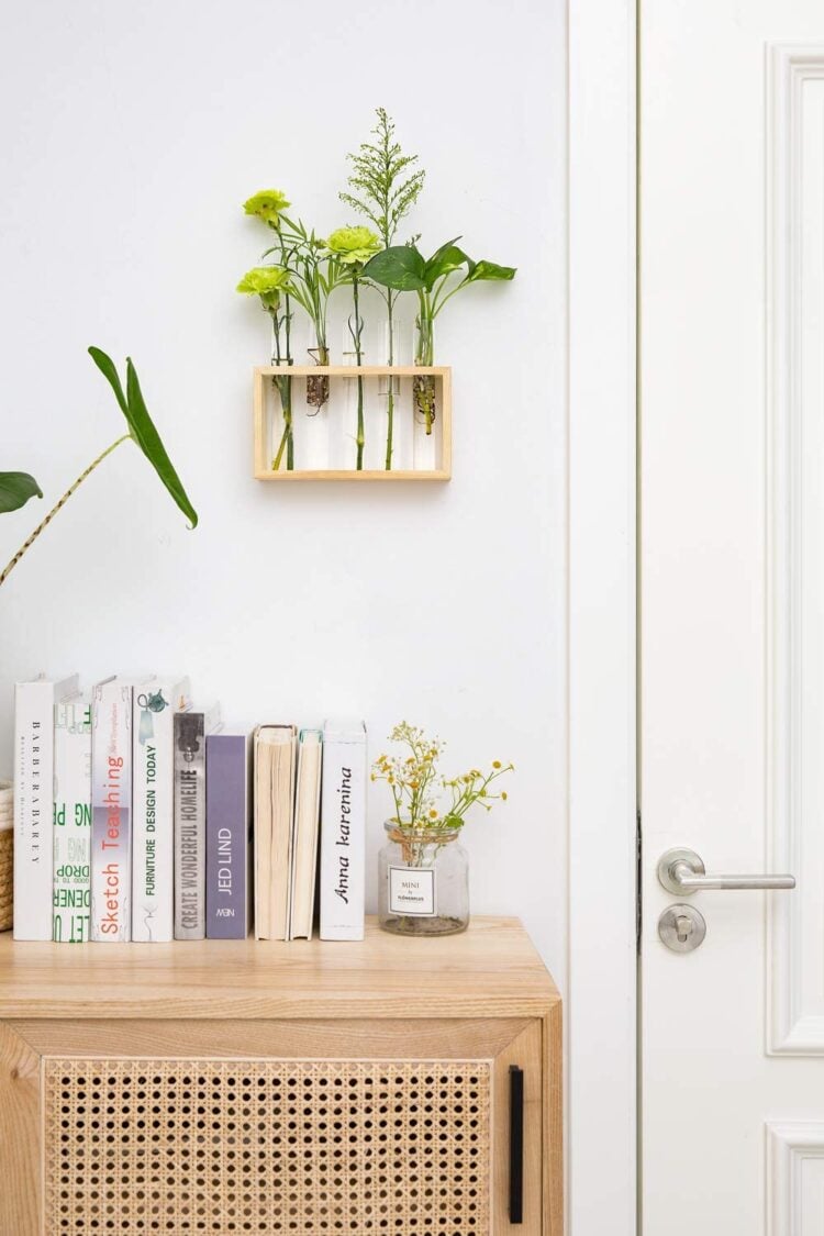 11 Plant Propagation Stations for All Budgets - Paisley & Sparrow