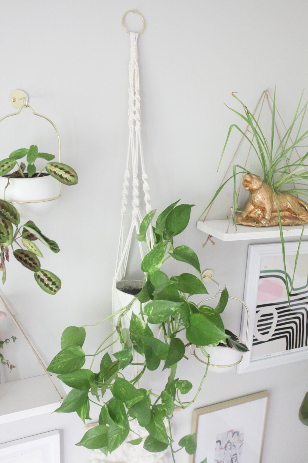 DIY Macrame Plant Hanger Tutorial (+ Video) - Paisley & Sparrow