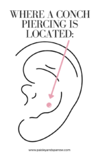 The Ultimate Guide to Conch Piercings - Paisley & Sparrow