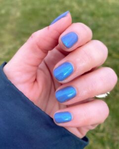 32 Different Shades of Blue Nails - Paisley & Sparrow